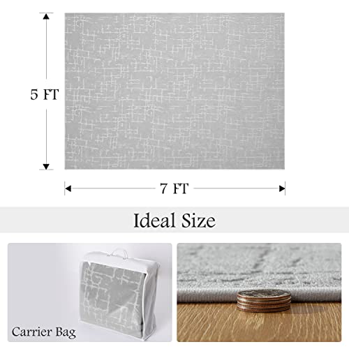 Area Rug-5x7 Rug for Living Room Contemporary Durable Carpet-Washable Rug Suitable for Living Room Bedroom Dinning Room Laundry Room Study Room