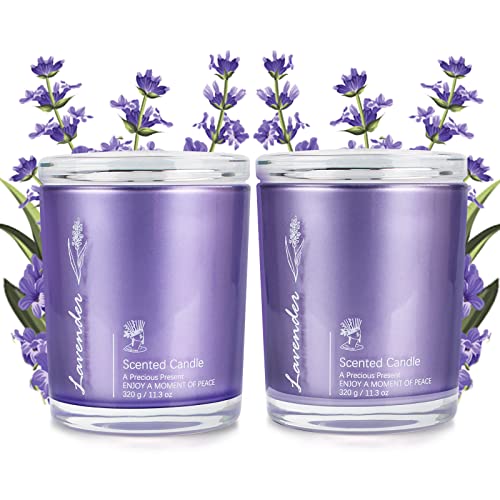 2 Pack Lavender Scented Candles for Home Scented - Birthday Mother's Day Gifts for Women Men, Mom, BFF - Anniversary Box Gift for Her, Girlfriend, Wife - Soy Wax Aromatherapy Candles Gifts for Women