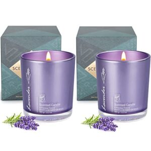 2 Pack Lavender Scented Candles for Home Scented - Birthday Mother's Day Gifts for Women Men, Mom, BFF - Anniversary Box Gift for Her, Girlfriend, Wife - Soy Wax Aromatherapy Candles Gifts for Women