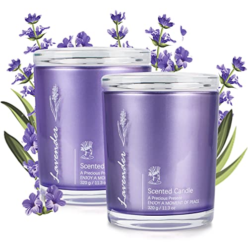 2 Pack Lavender Scented Candles for Home Scented - Birthday Mother's Day Gifts for Women Men, Mom, BFF - Anniversary Box Gift for Her, Girlfriend, Wife - Soy Wax Aromatherapy Candles Gifts for Women