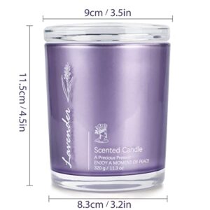 2 Pack Lavender Scented Candles for Home Scented - Birthday Mother's Day Gifts for Women Men, Mom, BFF - Anniversary Box Gift for Her, Girlfriend, Wife - Soy Wax Aromatherapy Candles Gifts for Women