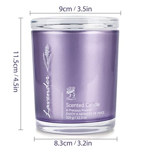 2 Pack Lavender Scented Candles for Home Scented - Birthday Mother's Day Gifts for Women Men, Mom, BFF - Anniversary Box Gift for Her, Girlfriend, Wife - Soy Wax Aromatherapy Candles Gifts for Women