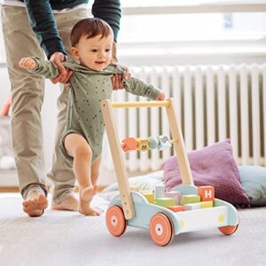 ROBOTIME Wooden Baby Walkers Push Toys for Baby Girls Boys 10 Month +, Adjustable Speed Push and Pull Learning Walker Activity Toys for Toddler 1 2 3 Yrs Old