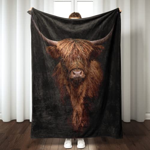 Highland Cow Blanket Super Soft Warm Highland Cow Throw Blanket - Lightweight Cozy Flannel Cow Print Throw Blanket Bed Couch Sofa Office Decor, Gift for Girls and Boys Women and Man 50"x40"