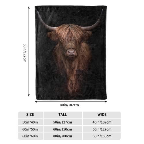 Highland Cow Blanket Super Soft Warm Highland Cow Throw Blanket - Lightweight Cozy Flannel Cow Print Throw Blanket Bed Couch Sofa Office Decor, Gift for Girls and Boys Women and Man 50"x40"