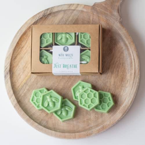 Eucalyptus Spearmint Wax Melts Just Breathe | Strong Scented Spring Wax Tarts Honeycombs Pack of 6 | Wedding Favors Green | Gift for Mom