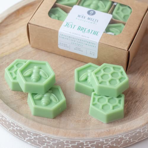 Eucalyptus Spearmint Wax Melts Just Breathe | Strong Scented Spring Wax Tarts Honeycombs Pack of 6 | Wedding Favors Green | Gift for Mom