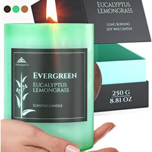 Evergreen Lemongrass & Eucalyptus Candle, Scented Candle for [Anxiety and Stress Relief] 60H Burning Time, Natural Soy Candle Infused with Essential Oils, Aromatherapy Candle 8.81 Oz