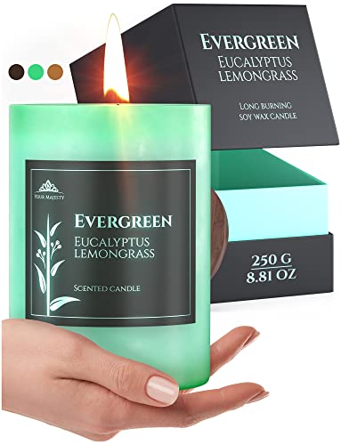 Evergreen Lemongrass & Eucalyptus Candle, Scented Candle for [Anxiety and Stress Relief] 60H Burning Time, Natural Soy Candle Infused with Essential Oils, Aromatherapy Candle 8.81 Oz