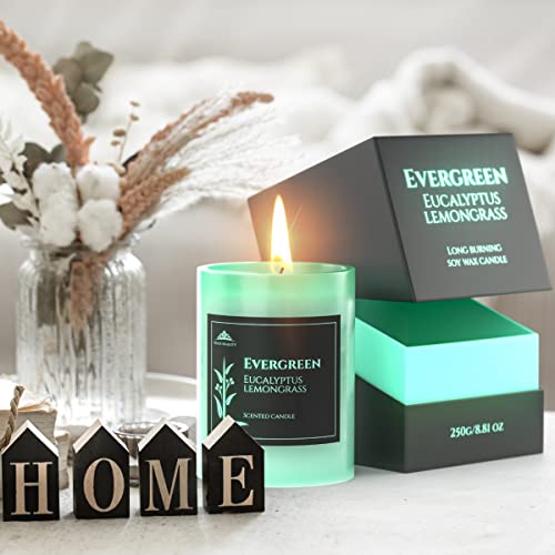 Evergreen Lemongrass & Eucalyptus Candle, Scented Candle for [Anxiety and Stress Relief] 60H Burning Time, Natural Soy Candle Infused with Essential Oils, Aromatherapy Candle 8.81 Oz