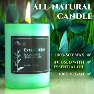 Evergreen Lemongrass & Eucalyptus Candle, Scented Candle for [Anxiety and Stress Relief] 60H Burning Time, Natural Soy Candle Infused with Essential Oils, Aromatherapy Candle 8.81 Oz