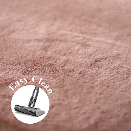 KASENTEX Fluffy Faux Fur Soft Area Rugs for Bedroom Living Room Carpet, Home Fuzzy Plush Rug for Dorm, Anti-Slip Rug, 4 x 6 Feet, Pink