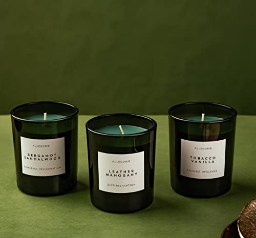 Set of Three Scented Candles for Men | Masculine scents of Bergamot & Sandalwood. Leather & Mahogany, Tobacco & Vanilla | 3 x Natural Soy Wax Candle for Men (5.6oz)