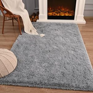 przemy fluffy bedroom rug 4 x 6 ft area rugs for living room, super soft shag rug, indoor modern fluffy carpet rugs for bedroom kids girls room dorm home decor, non-slip plush nursery rug, grey