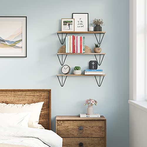 Wallniture Colmar Floating Shelves for Living Room Decor, 24" Wall Shelf Kitchen Organization and Storage Shelves for Bathroom Accessories, Bookshelf Set of 3, Burnt