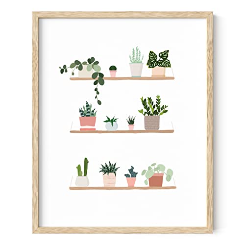 HAUS AND HUES Plant Pictures Wall Art - Succulent Art Wall Decor, Plant Prints Wall Art & Botanical Plant Wall Art Prints, Cactus Poster Botanical Flower pots on Shelves (Unframed, 16x20)