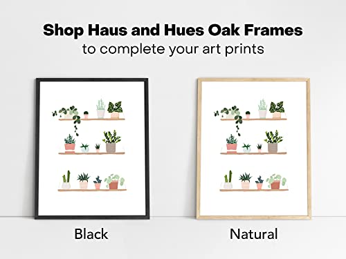 HAUS AND HUES Plant Pictures Wall Art - Succulent Art Wall Decor, Plant Prints Wall Art & Botanical Plant Wall Art Prints, Cactus Poster Botanical Flower pots on Shelves (Unframed, 16x20)