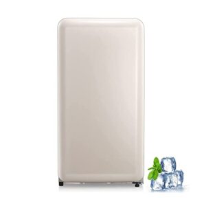 HESNDxbx Mini Fridge Mini Fridge Compact Refrigerator Freezer AC Large Capacity Storage Beverages Vegetables