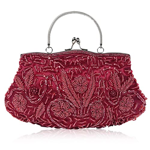 Lady Wallet DAMSIL Fashion Women Evening Bag Fashion Clutch Bag Party Purse Wallet (Color : Wine Red)