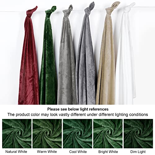 David's Home Fleece Throw Blanket,Ultra Soft Flannel Bed Blanket,No Shed No Pilling, 300GSM Lightweight Luxury Plush Cozy Blanket for All Season, 50" x 60", Dark Green