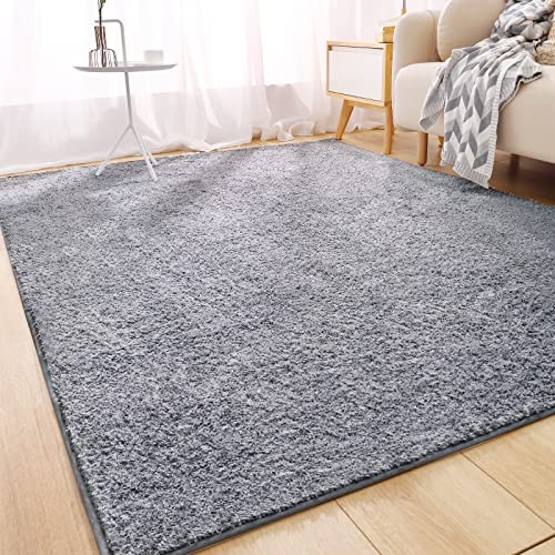 DEXI 5'x7'Area Rugs Non-Shedding Living Room Carpets for Children Bedroom Home Decor,5x7 feet Dark Grey