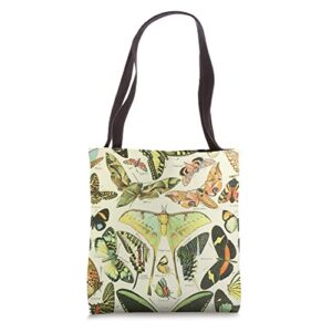 luna moth butterfly vintage botanical biology illustration tote bag