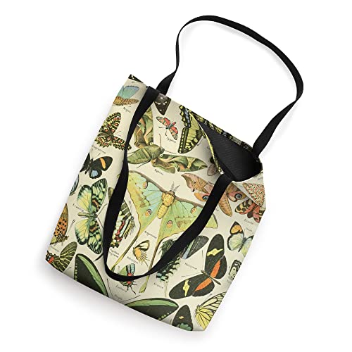 Luna Moth Butterfly Vintage Botanical Biology Illustration Tote Bag