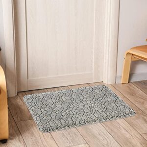 Small Stones Wall, Indoor Door Mat Durable Front Door Mats Entryway Rug Non-Slip Absorbent Area Rugs Resist Dirt Rugs for Room Decor, 24"x16"