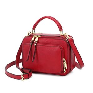 Crossbody Bags for Women, Trendy Design Satchels Shoulder Bag Handbags Tote Bag Double Zip Top-Handle Bags Camera Bag Purse (red)