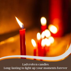 ladyrobyn Set of 40 Candles Chime Candles/Stick Candle/Spell Candle Set of 40 | Spell Candle | Unscented Spell Candles (Red)