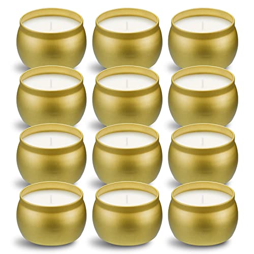 Scented Candles Gift Set, 12 Pack Natural Soy Wax Single tin 4 oz for Family Gatherings, Festive Candles