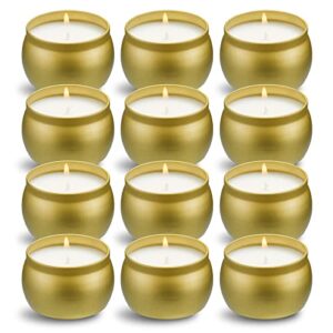 Scented Candles Gift Set, 12 Pack Natural Soy Wax Single tin 4 oz for Family Gatherings, Festive Candles