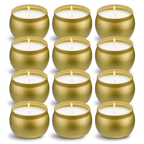 Scented Candles Gift Set, 12 Pack Natural Soy Wax Single tin 4 oz for Family Gatherings, Festive Candles