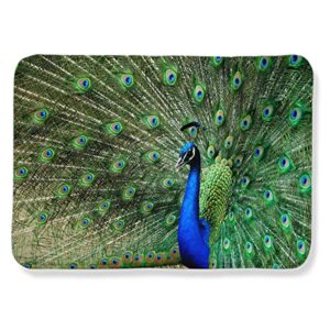 Peacock Decor Rugs Beautiful Fantastic Peacock Carpet, Modern Style Living Room Home Decoration Carpet, Suitable for Living Room Bedroom Kitchen Dining Room Non-Slip Washable 16"x24"