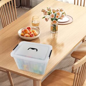 Leendines 20 L Clear Storage Boxes with Lids, Plastic Lidded Box Bins Set of 4