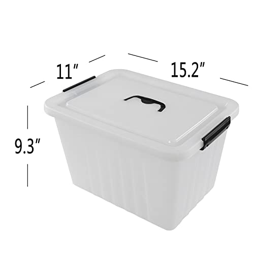 Leendines 20 L Clear Storage Boxes with Lids, Plastic Lidded Box Bins Set of 4