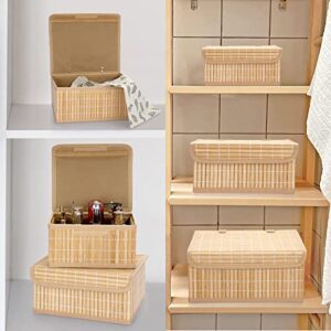 Hipiwe Bamboo Decorative Storage Bins with Lid & Lining- Set of 3 Shelf Basket Box Rectangle Basket Box Lidded Home Storage Bins for Closet Home Shelf Organizing