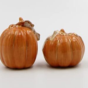 Cosmos Gifts 21037 Ceramic Autumn Red Pumpkin Salt and Pepper Shaker