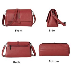 SHESTORY Women Genuine Leather Shoulder Bags Crossbody Purses for Lady Handbag (Wine)