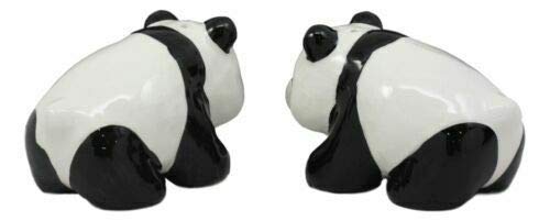 Set Of 1 Ceramic Giant Panda Bears Salt And Pepper Shakers Holder Figurine