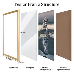 Gold 24x36 Poster Frames Set of 2, Ornate 36x24 Picture Frames 2 Pack, Extra Large 24 by 36inch Gallery Family Concert Portrait Photo Frames Anniversary/Birthday/Wedding/Thank you/Christmas Gift