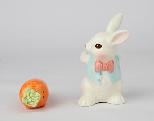 Fine Ceramic Spring Easter Buny carries Carrot Salt & Pepper Shakers Set, 3.75" H