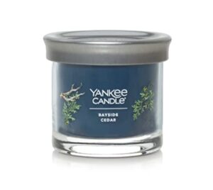 yankee candle tumbler candle (bayside cedar, fresh)