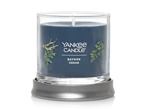 Yankee Candle Tumbler Candle (Bayside Cedar, Fresh)