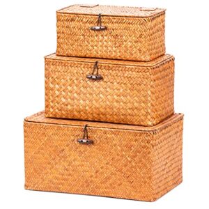 komely set of 3 seagrass shelf baskets with lids,decorative rectangular storage baskets with lids, handwoven wicker storage bins, stackable storage boxes