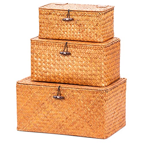 Komely set of 3 Seagrass Shelf Baskets with lids,Decorative Rectangular Storage Baskets with Lids, Handwoven Wicker storage Bins, Stackable Storage Boxes