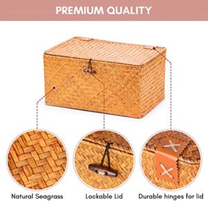 Komely set of 3 Seagrass Shelf Baskets with lids,Decorative Rectangular Storage Baskets with Lids, Handwoven Wicker storage Bins, Stackable Storage Boxes