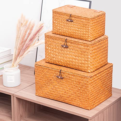 Komely set of 3 Seagrass Shelf Baskets with lids,Decorative Rectangular Storage Baskets with Lids, Handwoven Wicker storage Bins, Stackable Storage Boxes