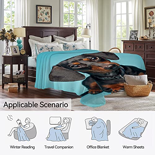 DOINBEE Dachshund Dog Blanket Dachshund Gifts Cute Black Dog Animal on Blue Throw Blankets for Men Women Fluffy Fleece Flannel Soft Cozy Sofa Chair Bed Couch Blanket Decor Travel Quilts 60"x50"