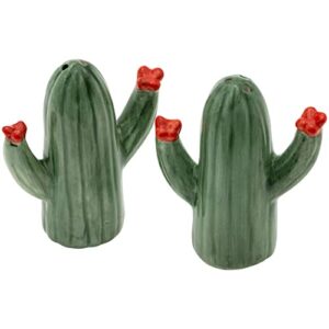 boston international salt and pepper shakers everyday ceramic serveware, set of 2, cactus bloom